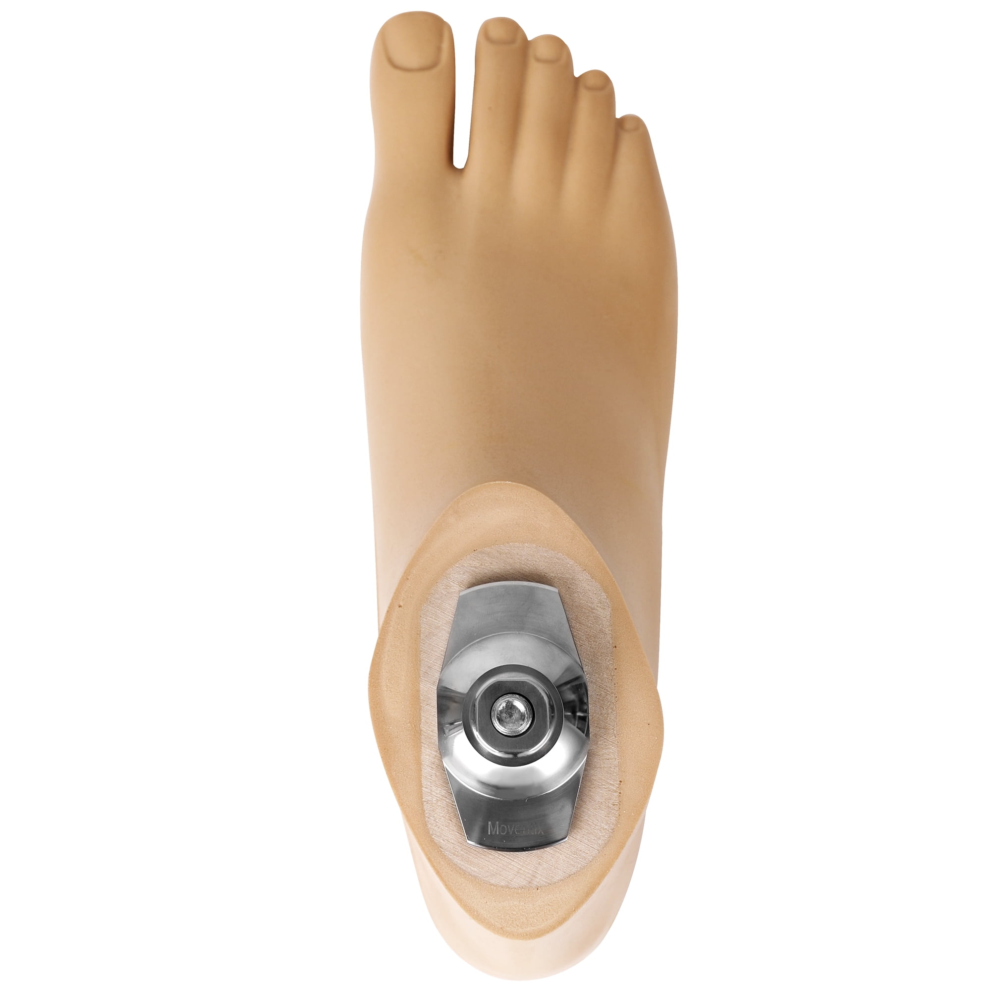 SACH Prosthetic Foot with Split Toe – Beige, Sizes 20–30 cm, M10 Thread ...