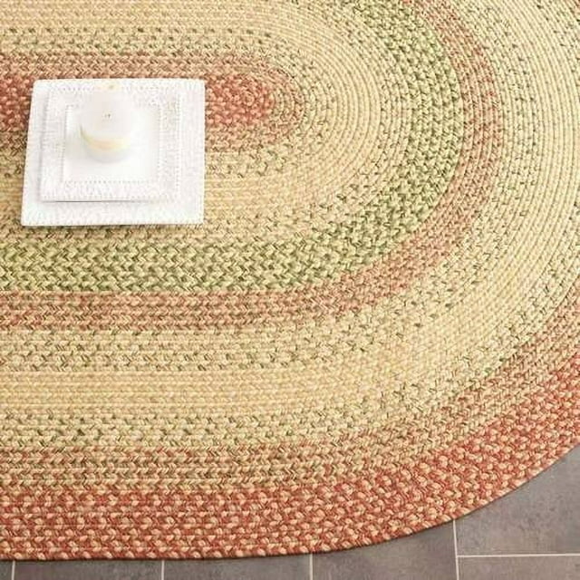 SAFAVIEH Braided Cirino Colorful Bordered Area Rug, Rust/Multi, 6' x 9 ...