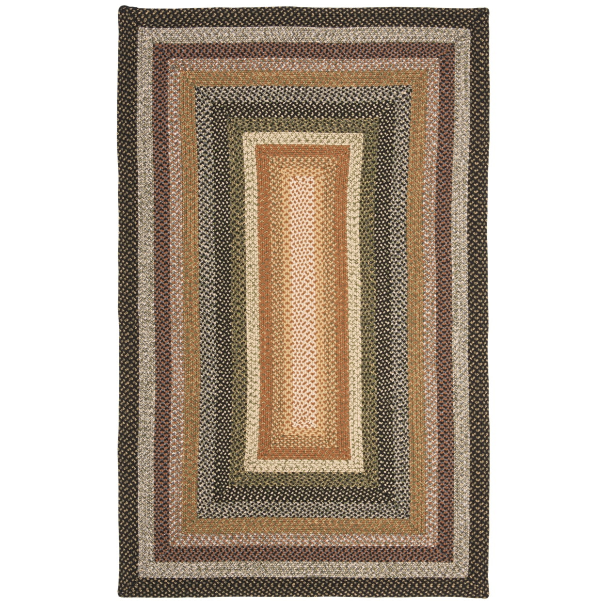 SAFAVIEH Braided Ellen Colored Bordered Area Rug, Blue/Multi, 9' x 12 ...