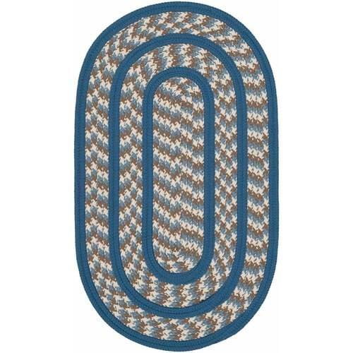 SAFAVIEH Braided Tanisha Color Bordered Area Rug, Ivory/Blue, 4' x 6 ...