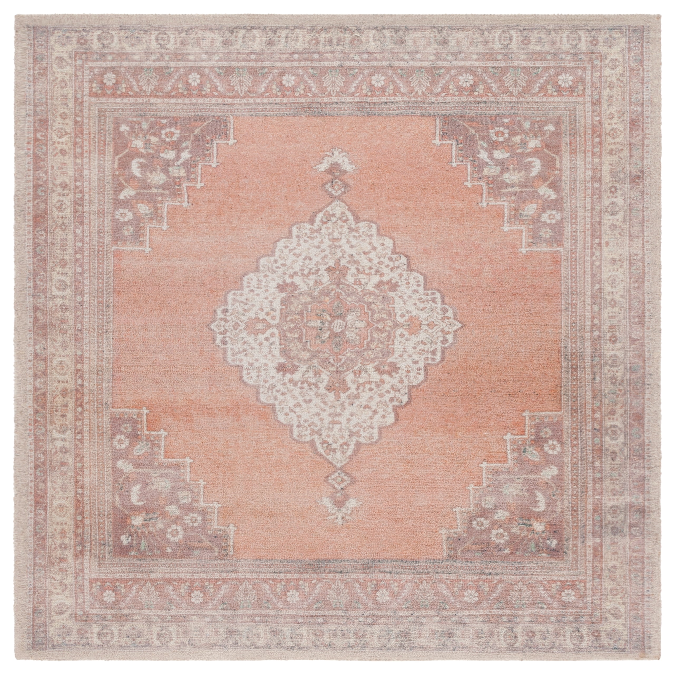 SAFAVIEH Classic Vintage Cassius Southwestern Area Rug, Ivory/Light ...
