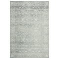 SAFAVIEH Evoke Denica Traditional Bordered Area Rug, Silver/Ivory, 4' x ...