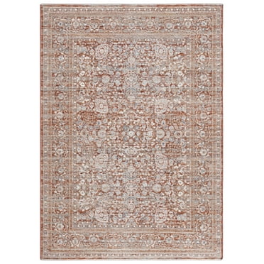 SAFAVIEH Harlow Cymone Distressed Area Rug, Ivory Grey/Rust, 6'3" x 6'3 ...