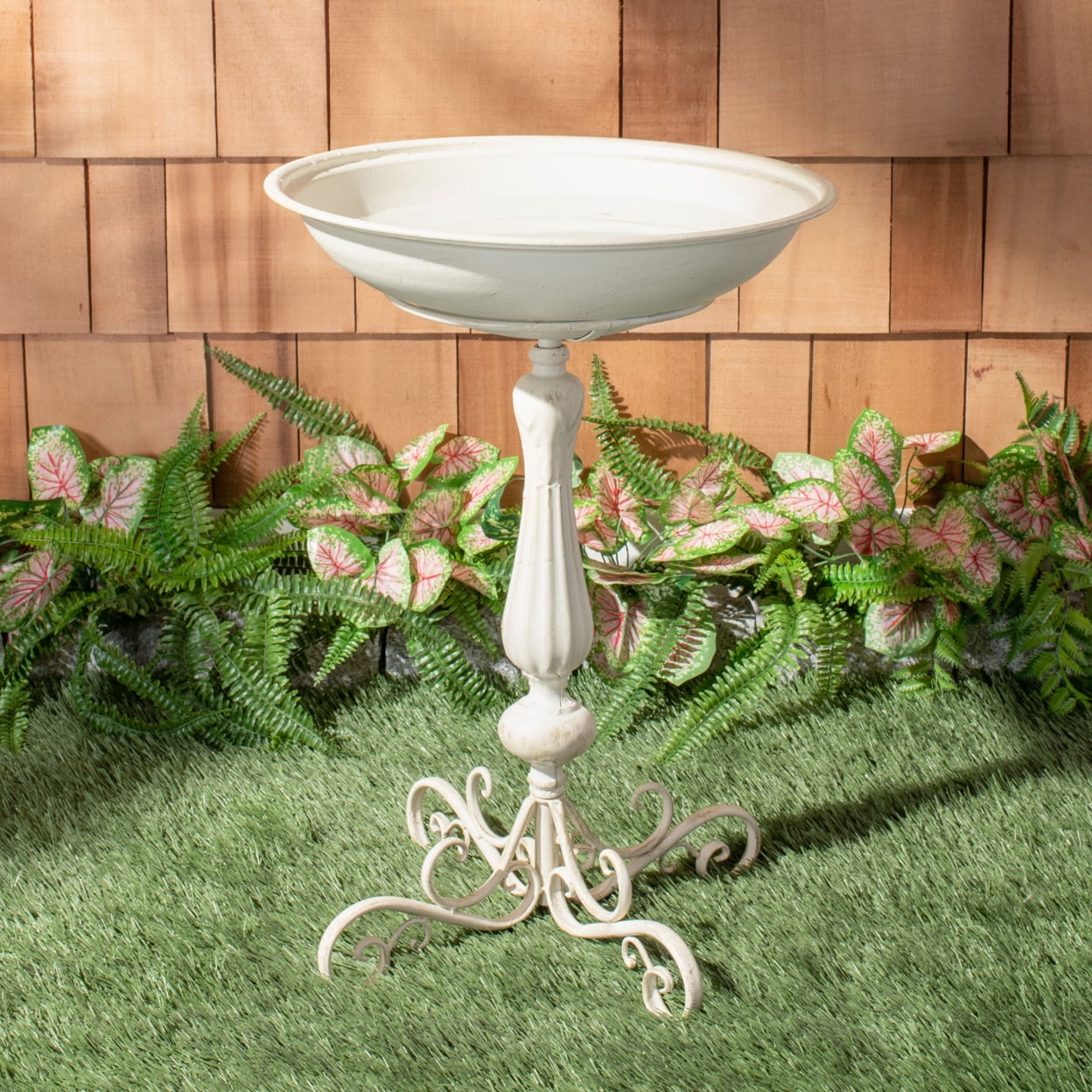 SAFAVIEH Orian Solid Rustic Outdoor Patio Bird Bath, Pearl White ...