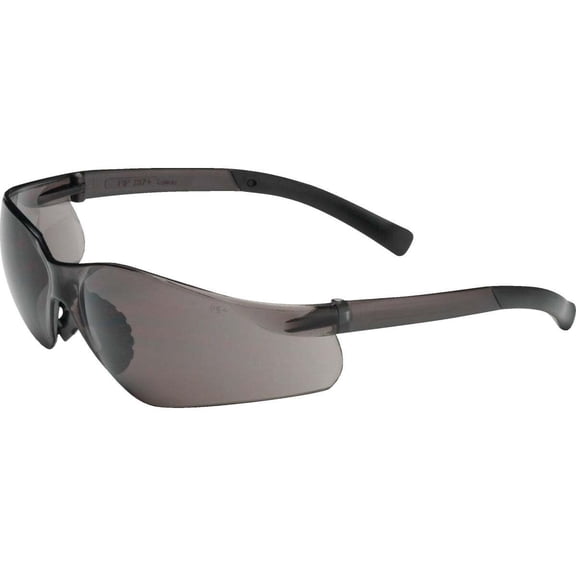 Tinted Safety Glasses
