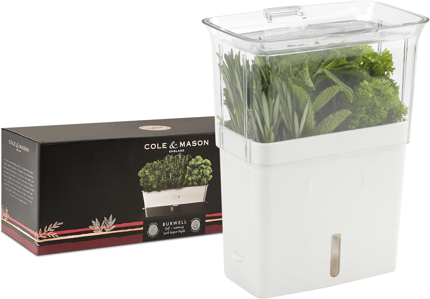 SAIYA Fresh Herb Keeper - Acrylic Storage Container for Refrigerator ...