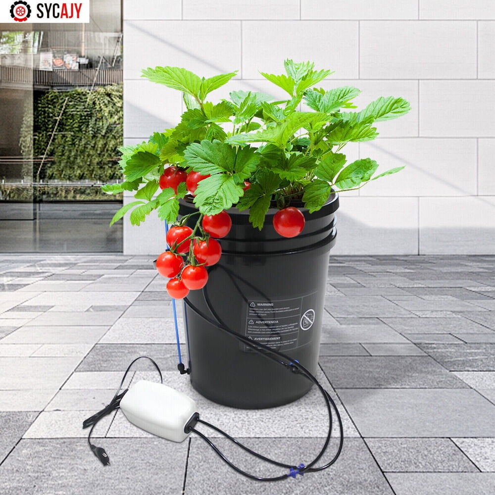 SALE 5-Gallon DWC Hydroponic Deep Water Culture Bucket Grow System Tool Kit - Walmart.com