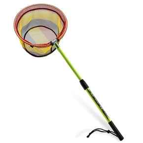 Shop Colorful Telescopic Butterfly Nets for Kids and Outdoors