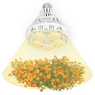 LEDimagine G95 Fairy Light Bulb, 50 Red LED Diodes Inside, Clear Glass ...