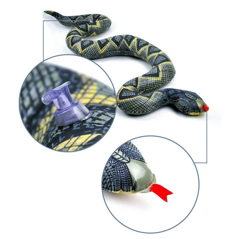 Funny Snake Pictures For Kids