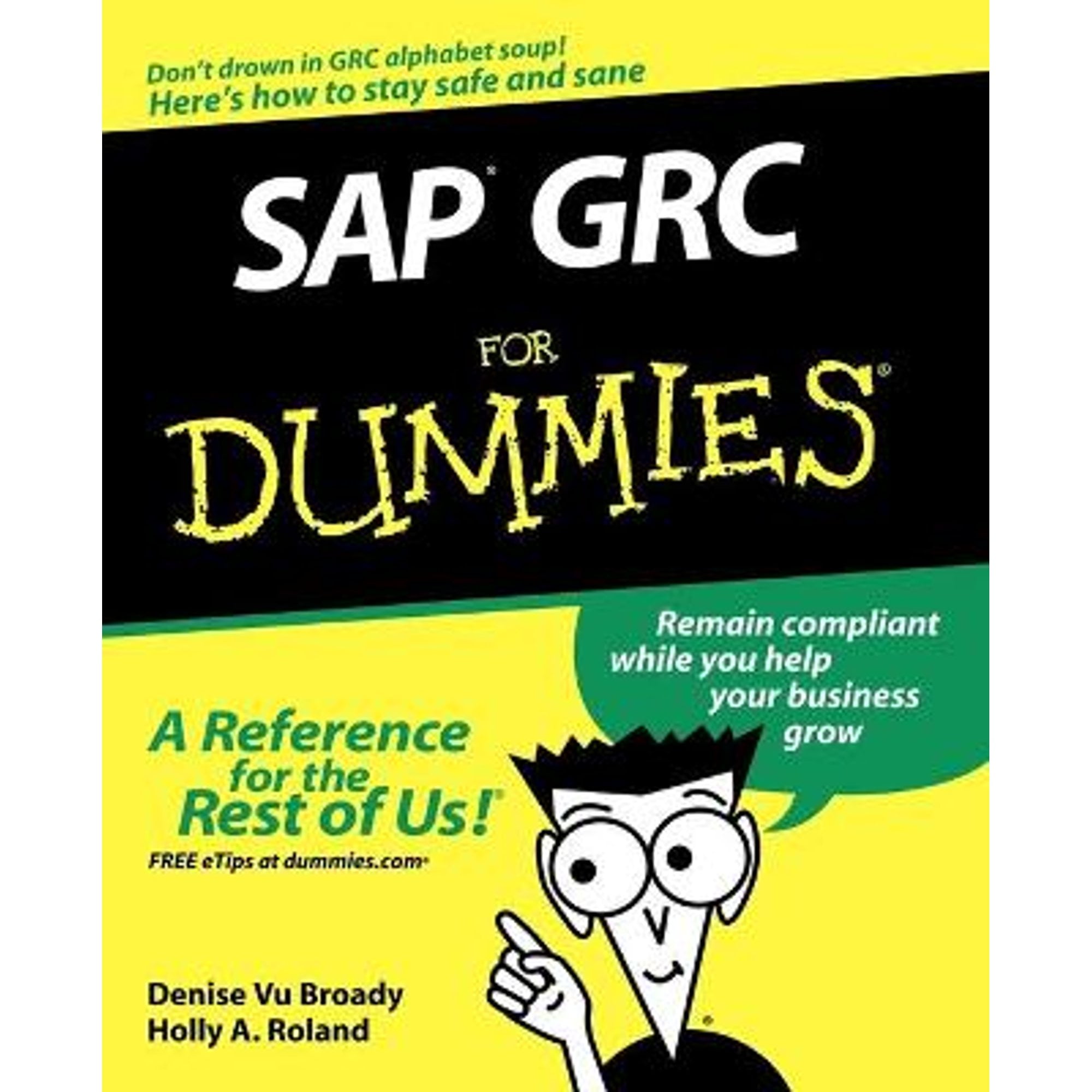 Pre-Owned SAP Grc for Dummies (Paperback) 0470333170 9780470333174 ...
