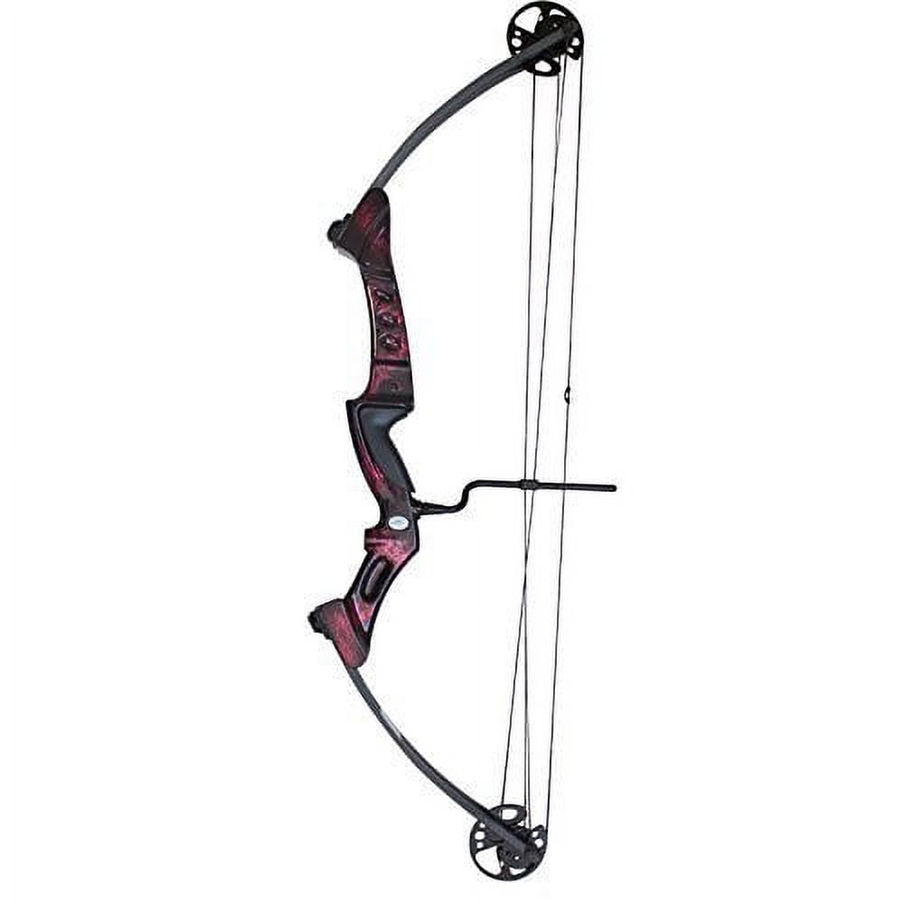 Hoyt Target Compound Bow