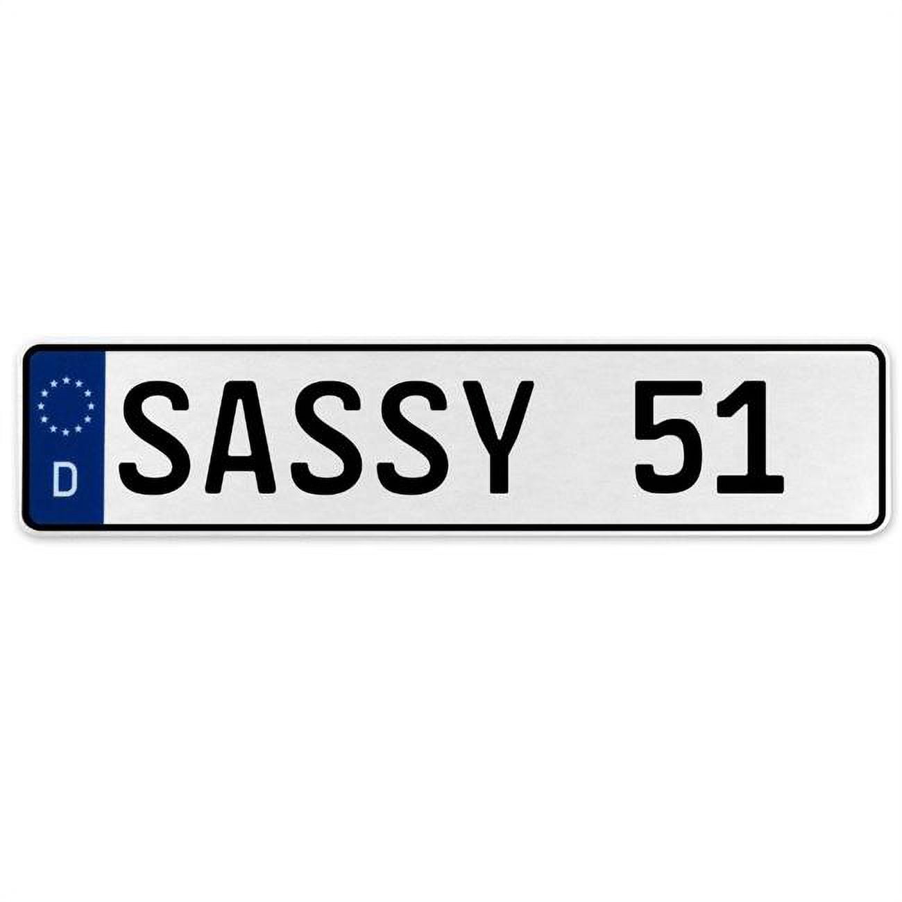 SASSY 51 - White Aluminum Street Sign Mancave Euro Plate Name Door Sign ...