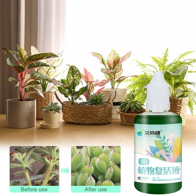 SATRINO Rooting Hormone for Cuttings, Plant Growth Activator ...