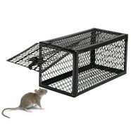 3 Critter Getter Wooden Box Trap for Squirrel, Rat, Chipmunk, Rodent ...