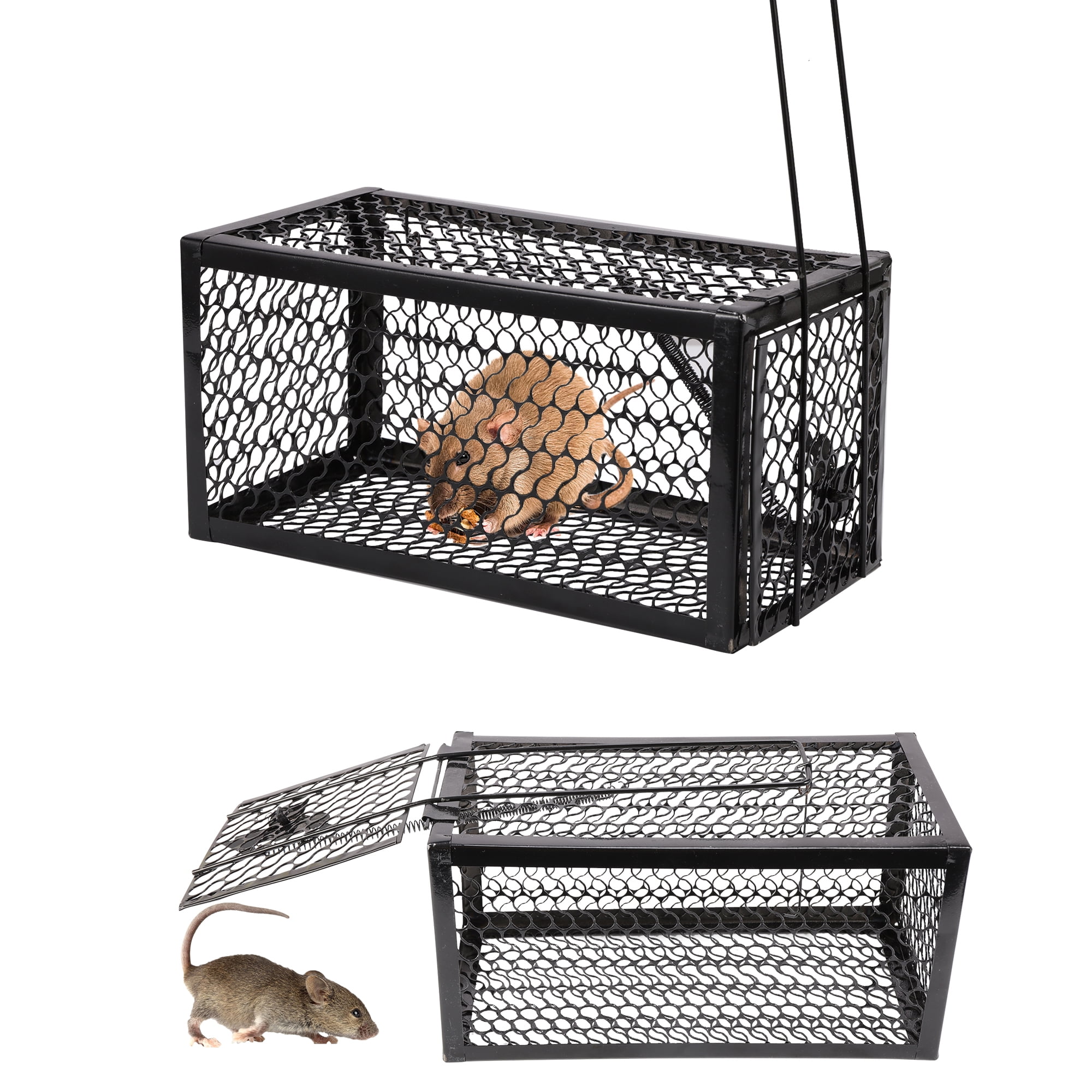 SAYFUT Live Humane Cage Trap for Squirrel Chipmunk Rat Mice Rodent ...