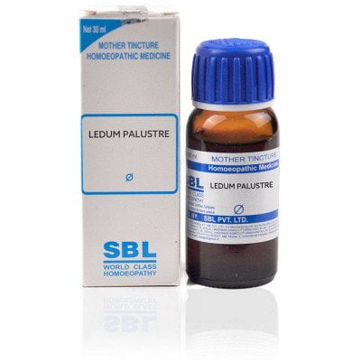 SBLs Ledum Pal Mother Tincture () - Walmart.com