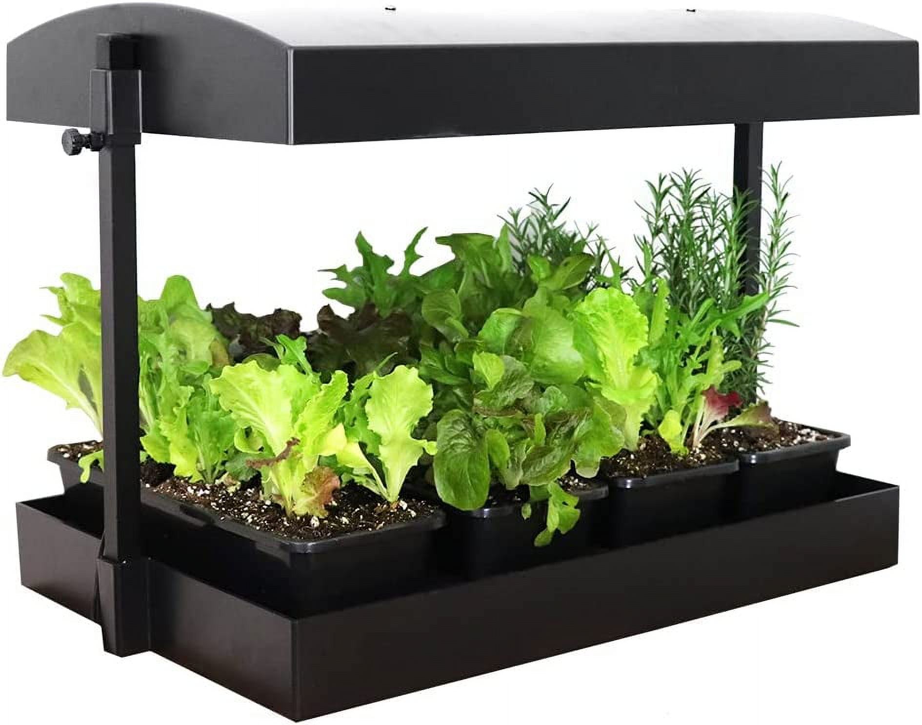 SBL1600200 T5HO Indoor Growlight Garden, Home Growing Kit, Black ...