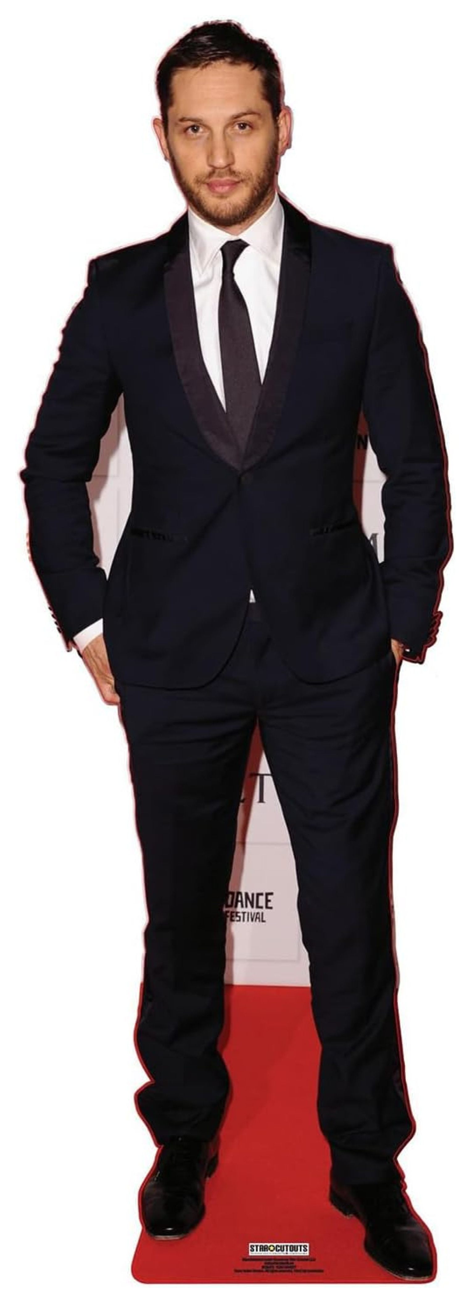 SC2470 Tom Cardboard Cutout Standee Standup - Walmart.com