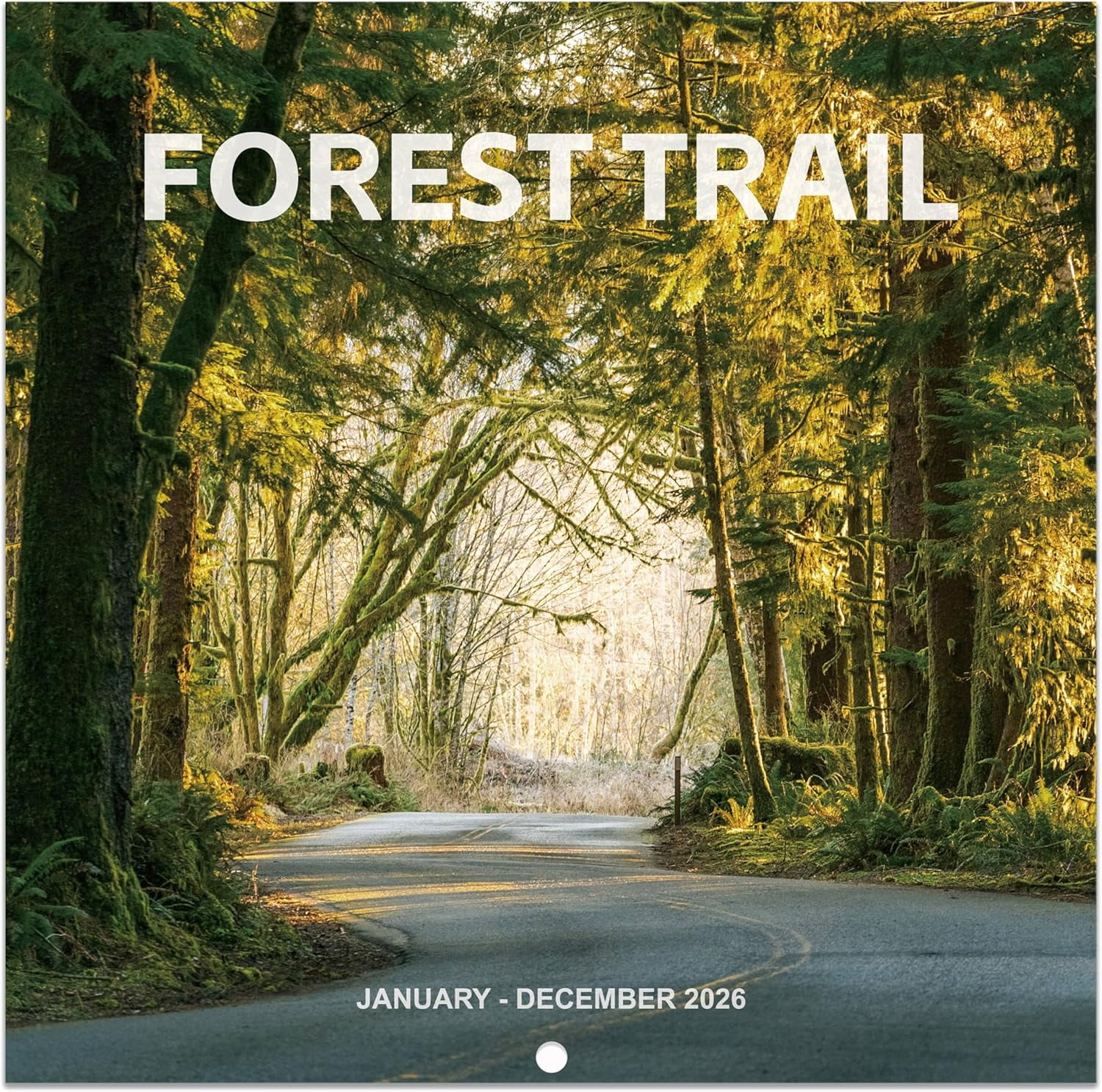 SCENIC PATH Wall Calendar 2026 - 12 Months Jan to Dec, 12 x 24 Inches ...