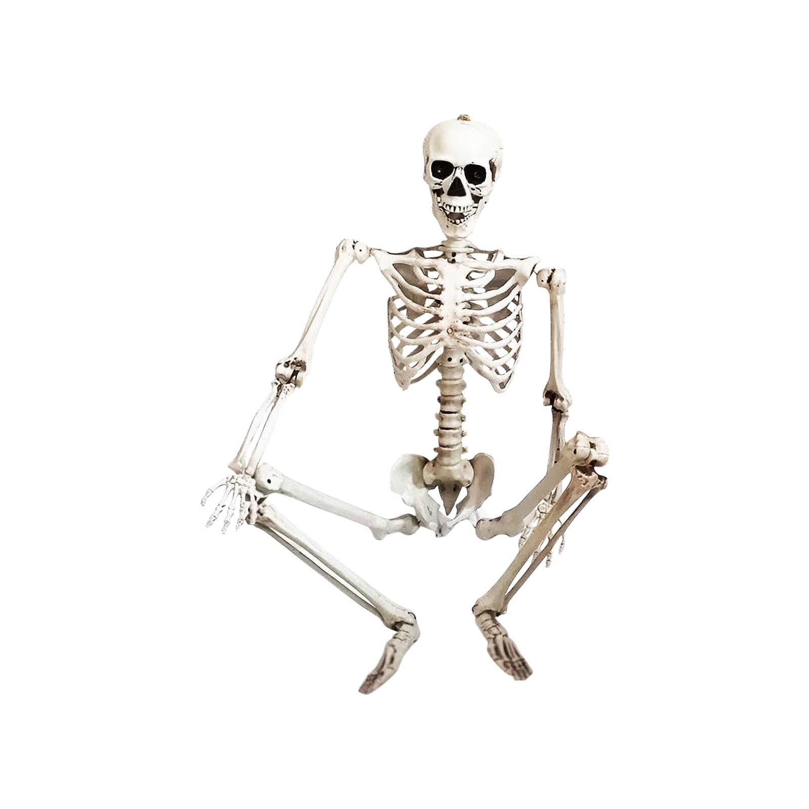 SCNOR Halloween Life Size Skeleton,Posable Skeletons,Full Size Skeleton ...