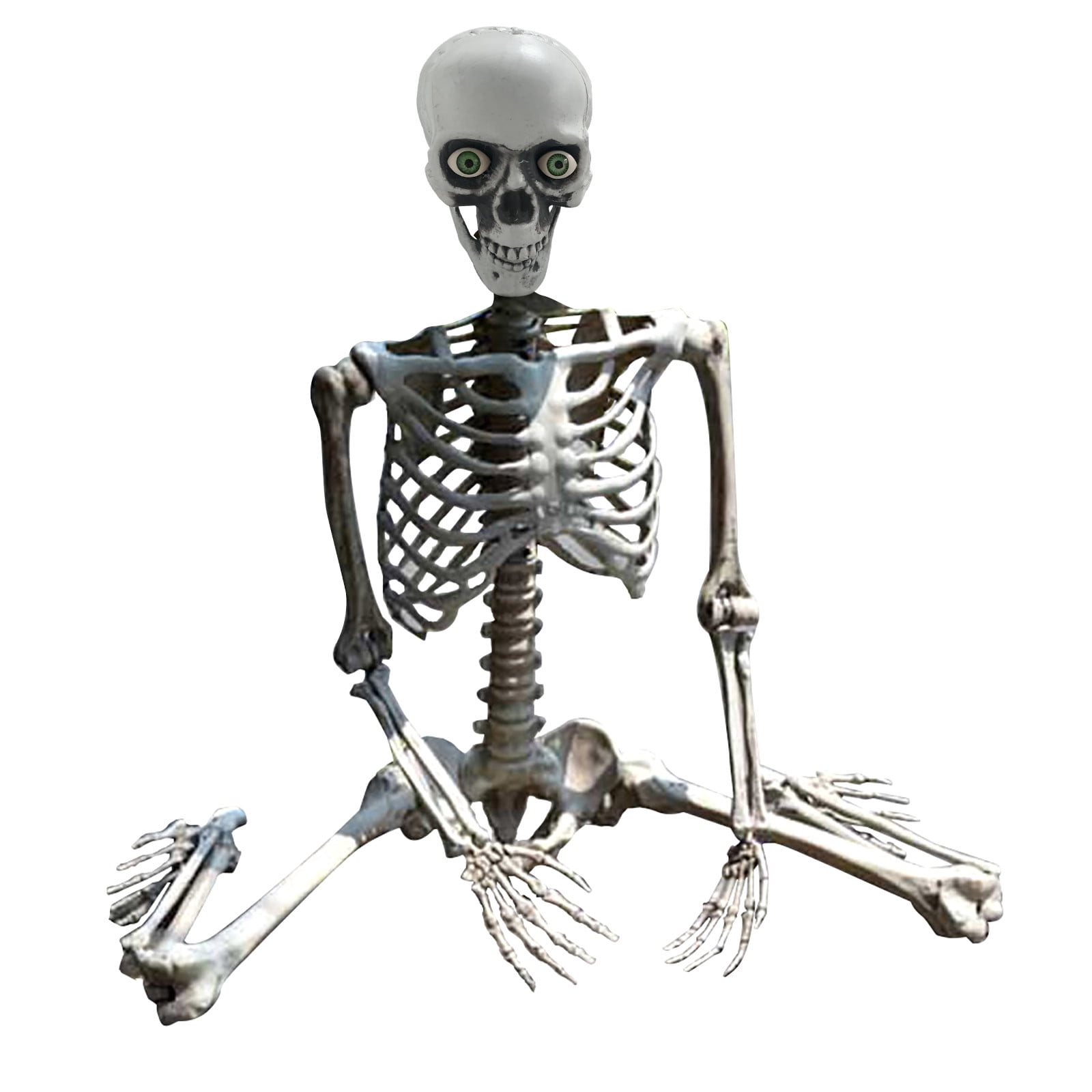 SCNOR Halloween Life Size Skeleton,Posable Skeletons,Full Size Skeleton ...