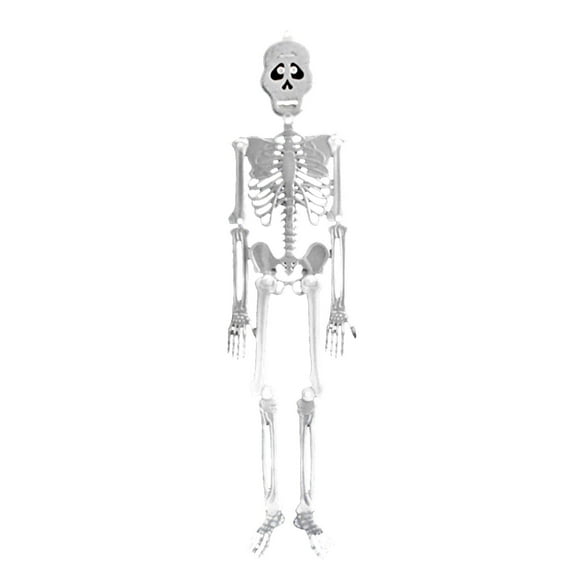 Mini Skeleton