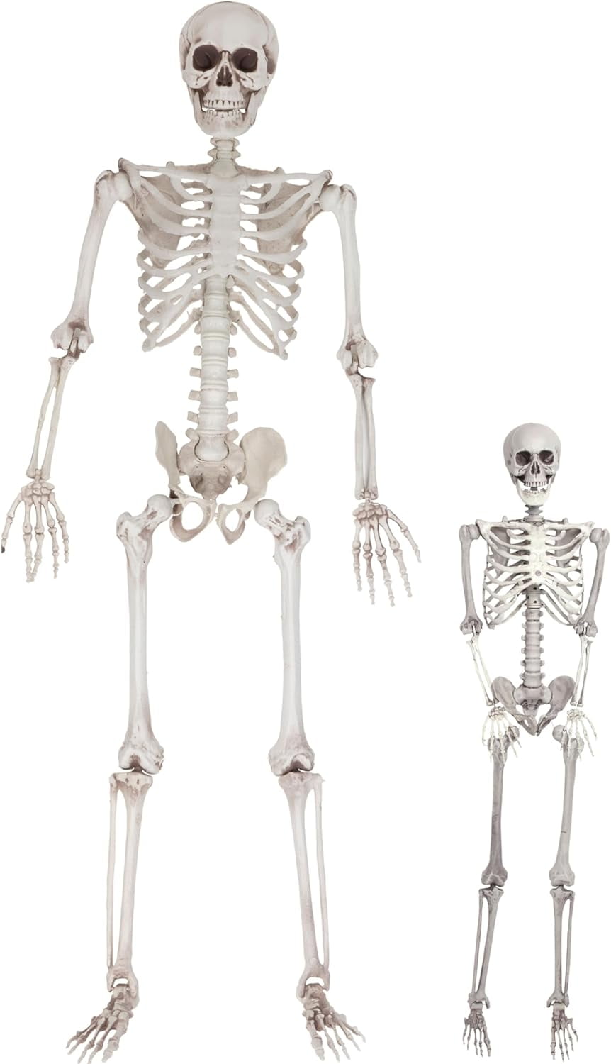 "SCS Direct Halloween 5'4"" Adult & 3' Child Full Posable Skeletons ...