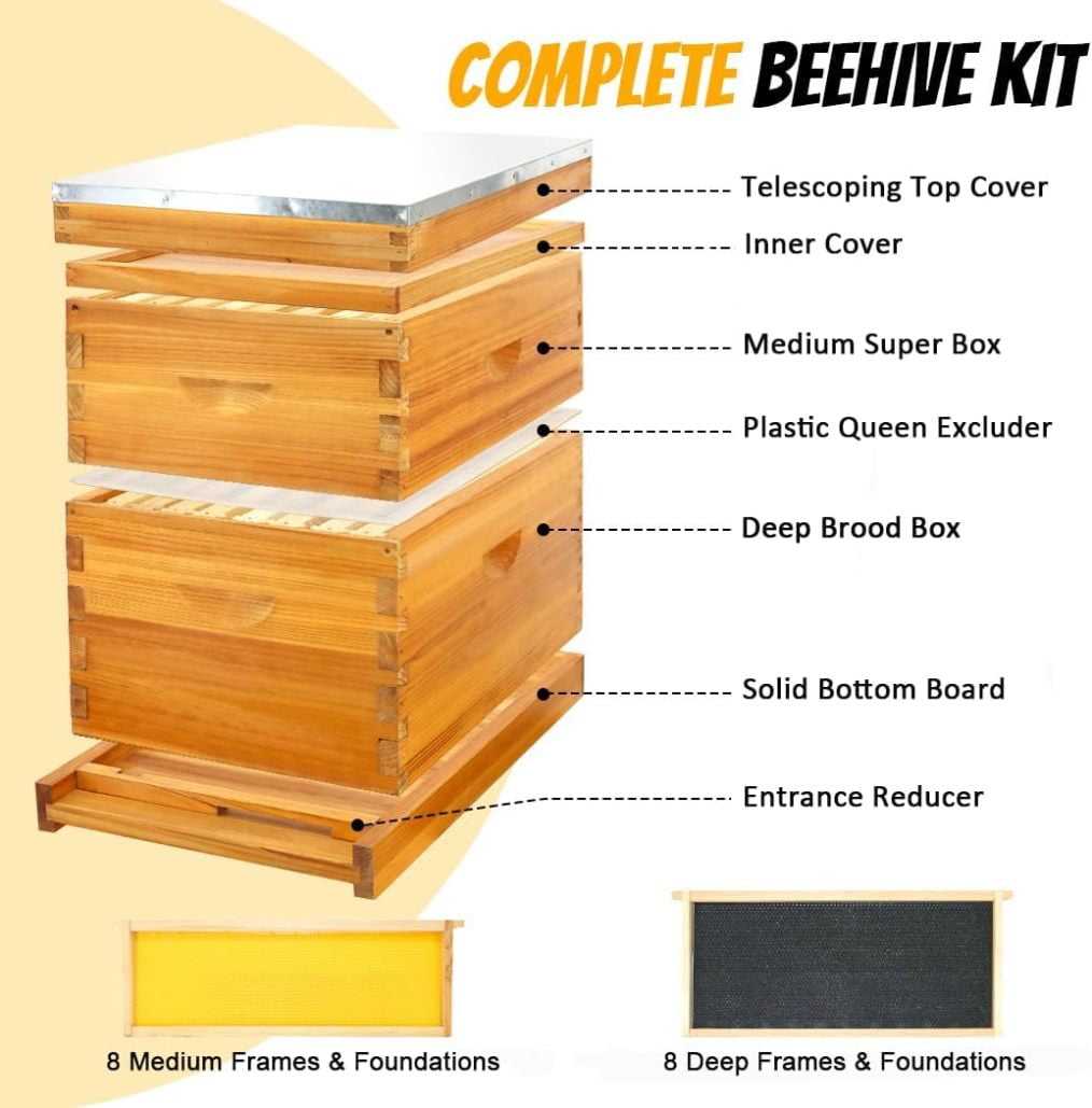 SCXP 8 Frame Bee Hive Starter Kit, Complete Beehive for Beekeeping Dipped in Beeswax Includes ...