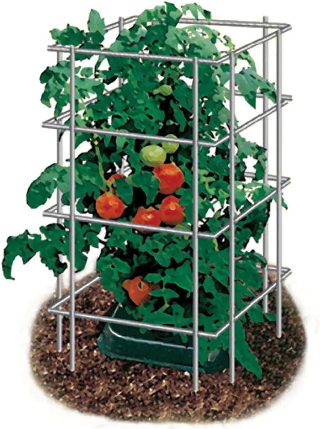 SCXP Tomato Cages – 39" Tall Heavy-Duty Plant Supports for Tomatoes ...