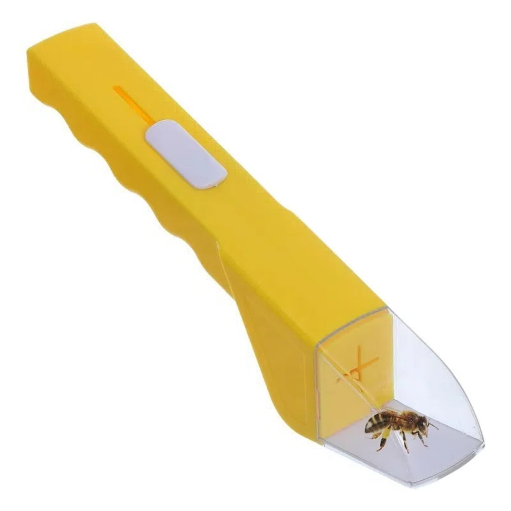 SDFGTstore Clear View Insect Catchers Enclosures For Children ...