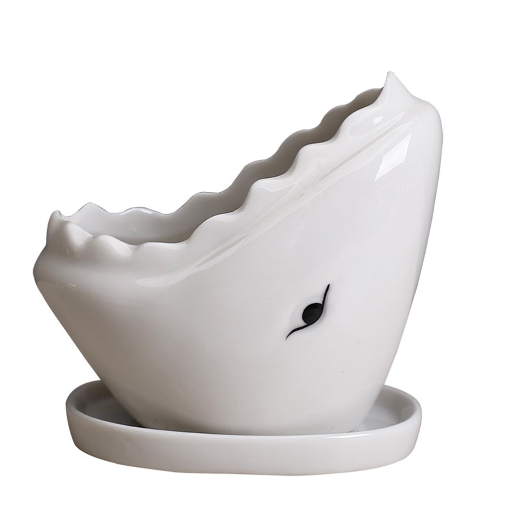 SDFGTstore Shark Succulent Planter Pot with Drainage Tray Ceramic ...