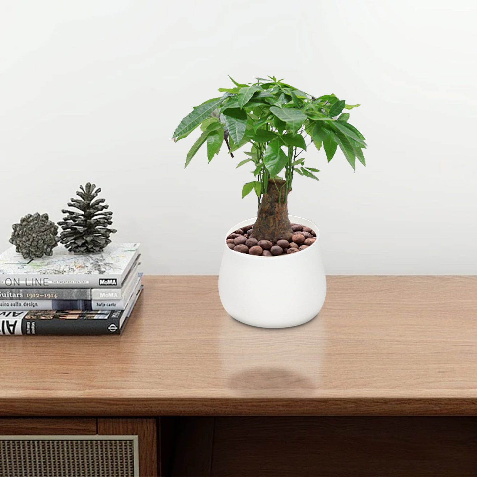 SDJMa Mini Succulent Plant Pot, 3.5 Inch Small Plastic Flower Planter ...