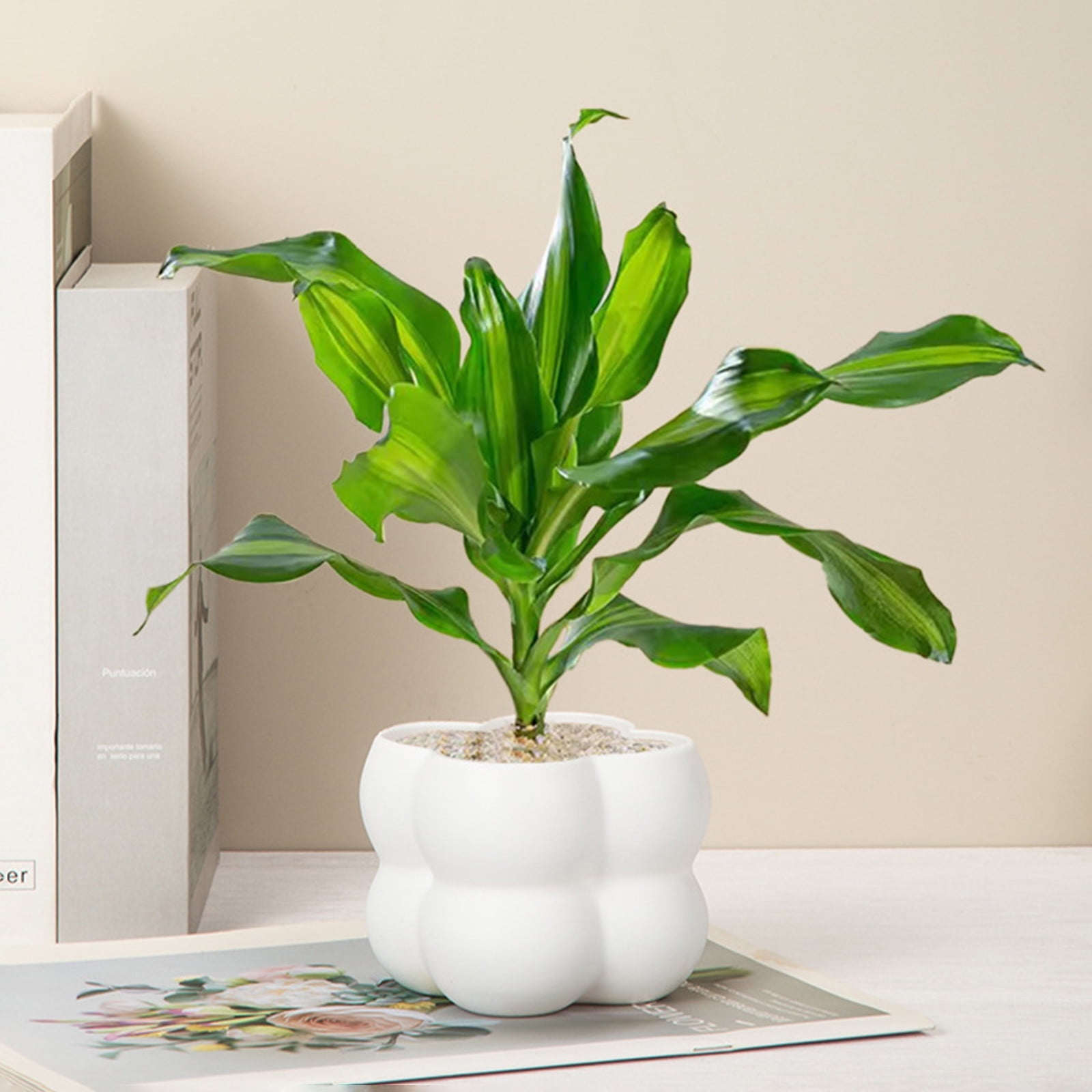 SDJMa Mini Succulent Plant Pot, 3.8 Inch Small Plastic Flower Planter ...