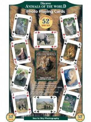 SEA and SKY Discover IFF17 Animals of The World Playing Cards - Walmart.com
