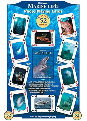 SEA and SKY Discover Marine Life Playing Cards - Walmart.com