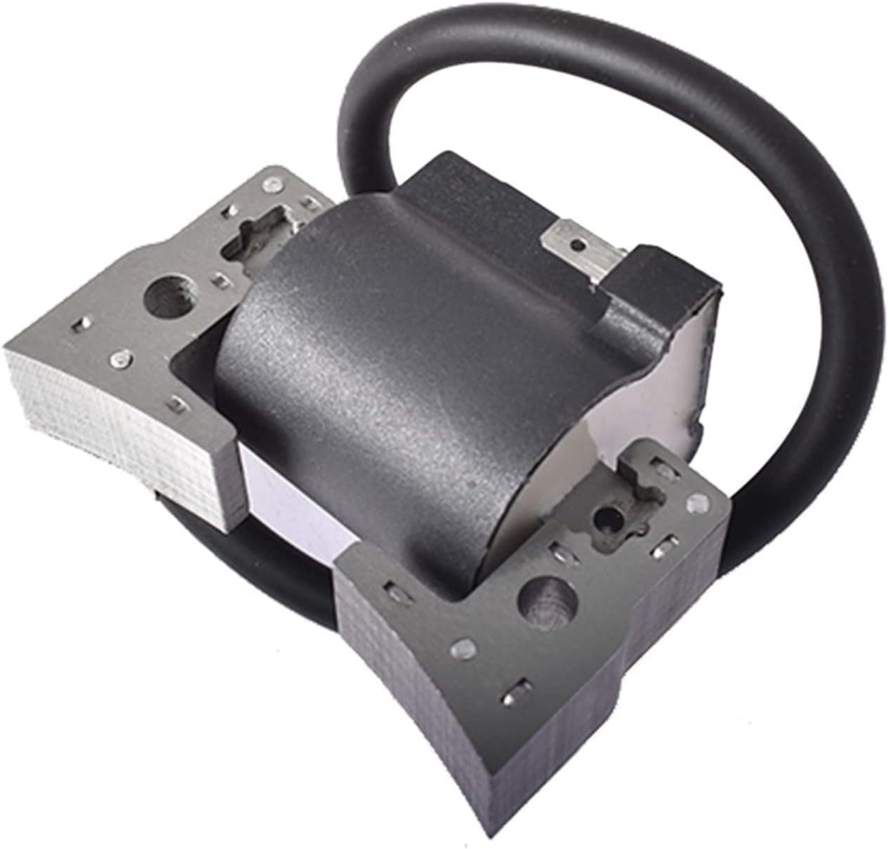 SEBLAFF Golf Cart Ignition Coil with Built in Ignitor Replacement for ...