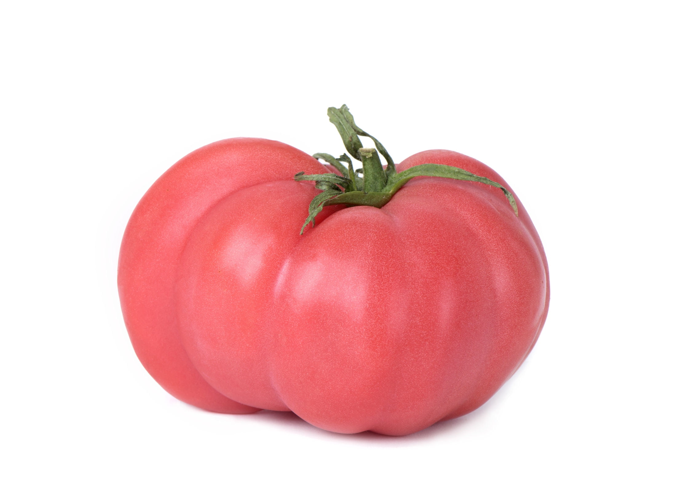 SEED PACK = =Pink Brandywine Tomato 20 Seeds Well Formed Juicy Flavor ...