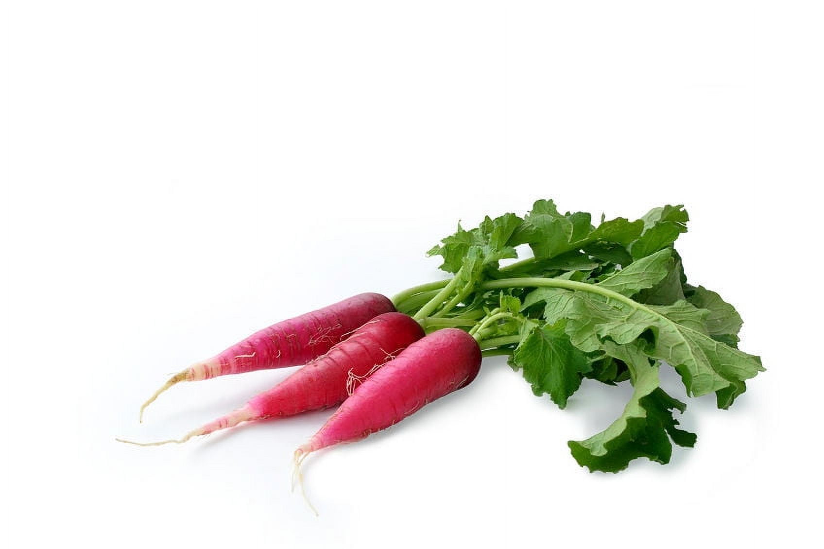SEEDS = 100 Red Arrow Radish Seeds- Non GMO- Spicy Flavor- Grow as Root ...