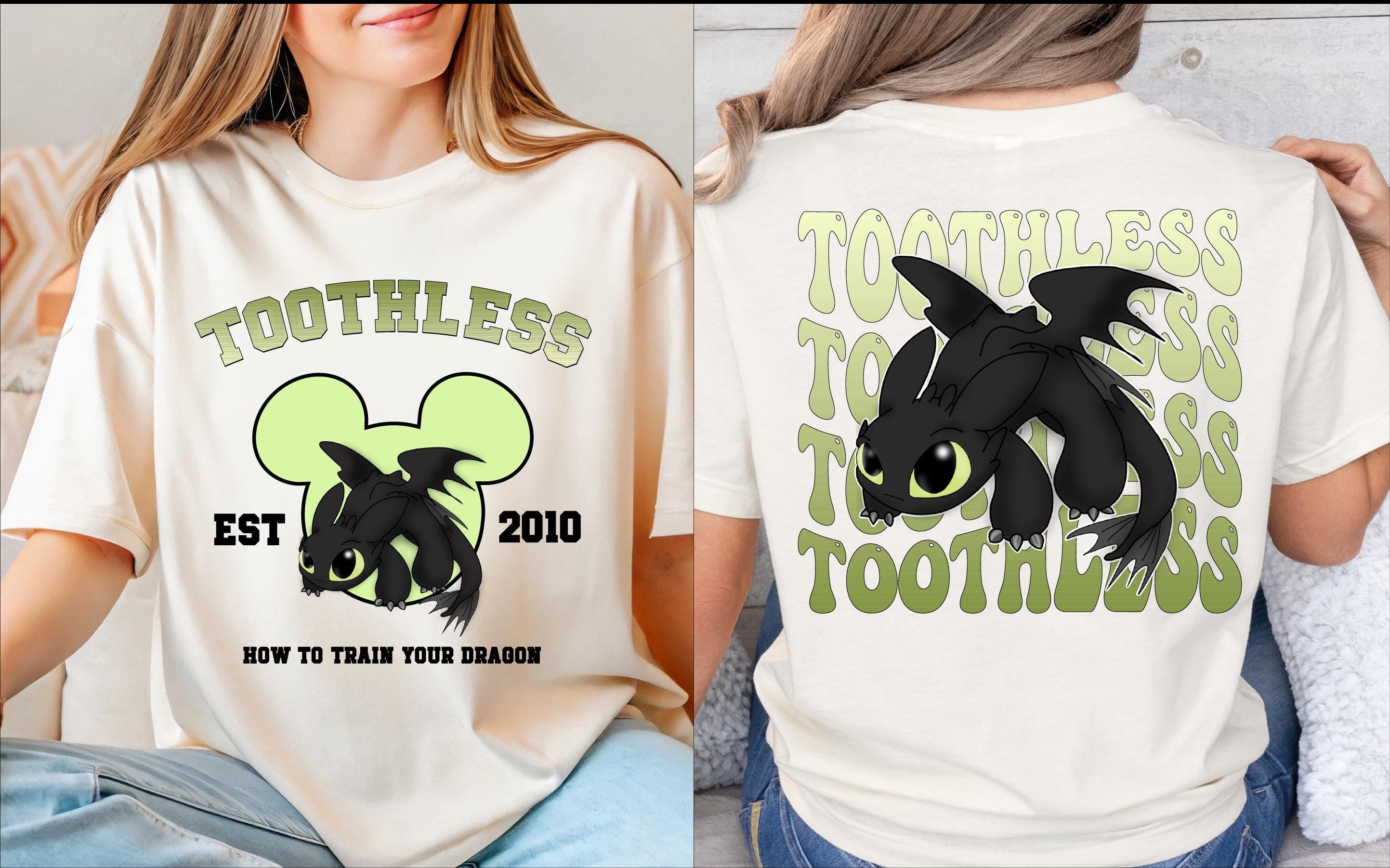 SEIKEMS How To Train Your Dragon Shirt, Toothless Light Fury Stormfly ...