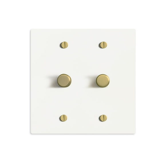 SELECT White Brass Dimmer Light Switch, 1 Way Rotary Dimmer, 2 Gang ...
