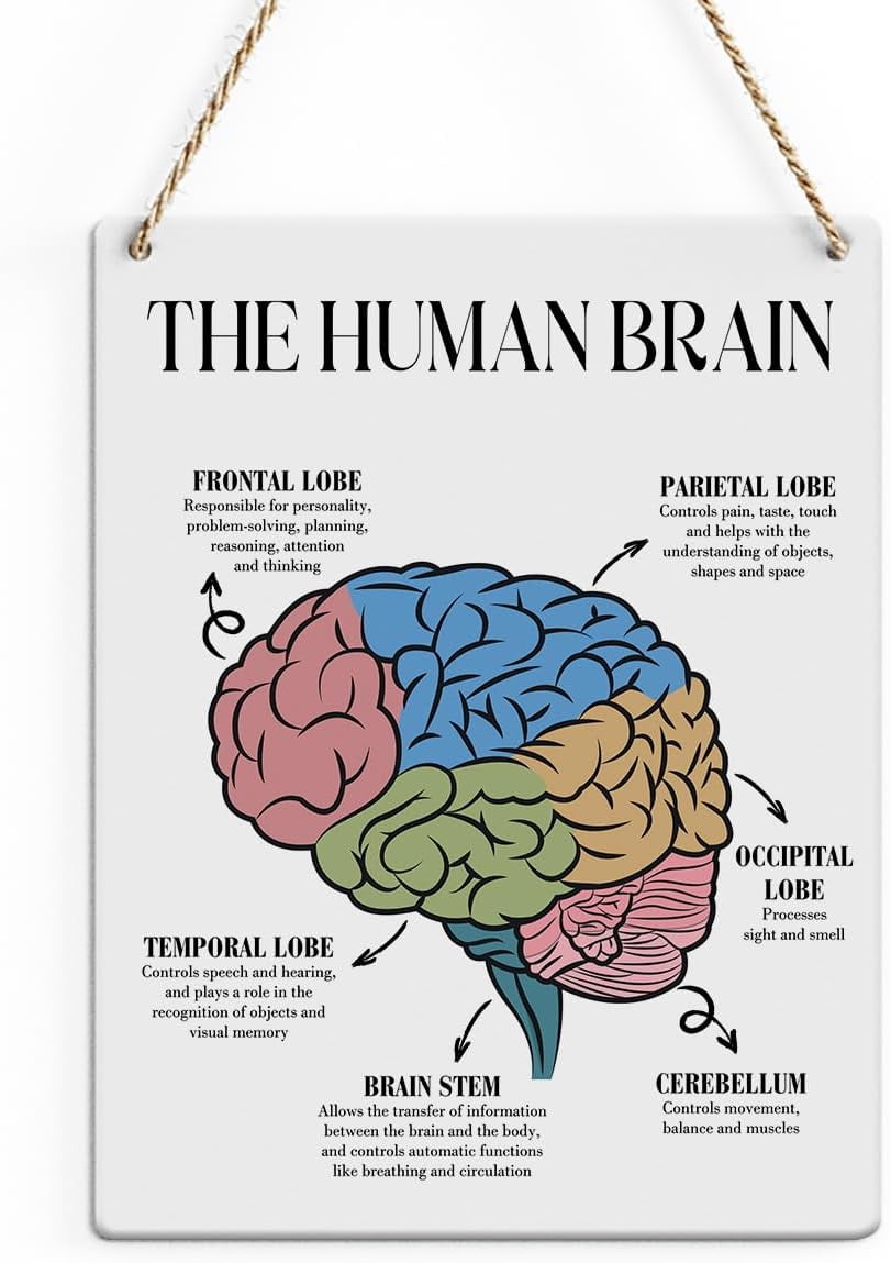 SENJIAN Human Brain Wall Decor Therapy Office Decor Mental Health ...