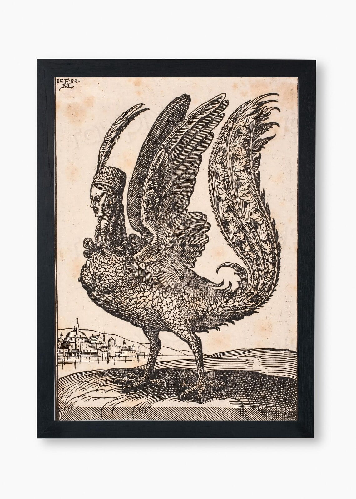 SEPT Harpy, Bird Of Hell - Mythical Creature Art, Fantasy Renaissance ...