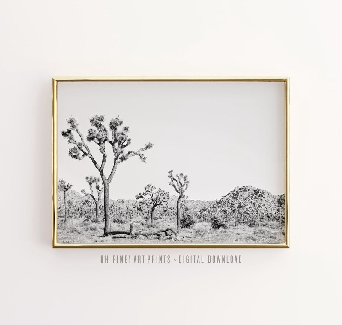 SEPT Joshua Tree, Desert Landscape Photography, Black And White ...