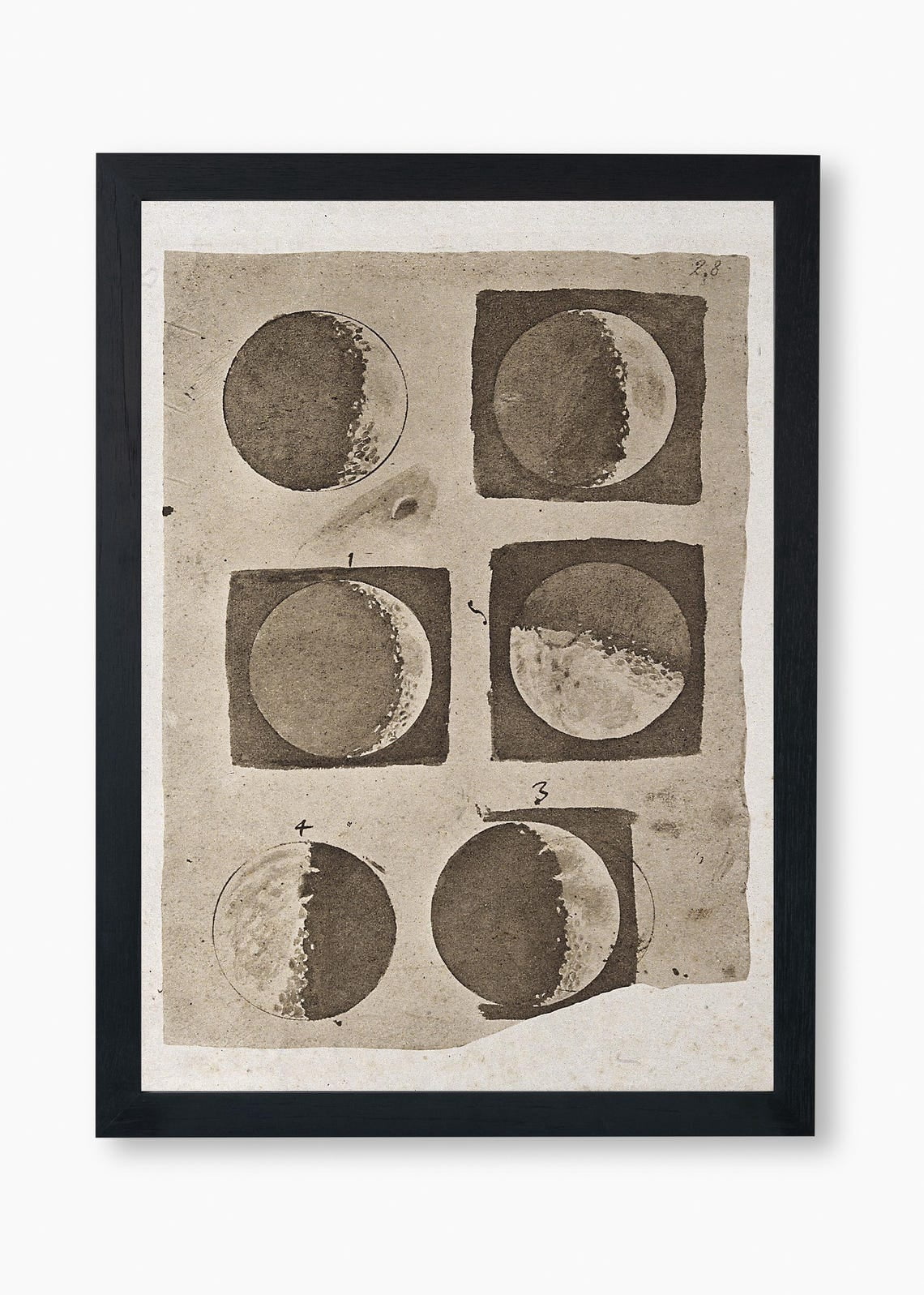 SEPT Sepia-Toned Monochrome Phases Of The Moon Scientific, Galileo ...