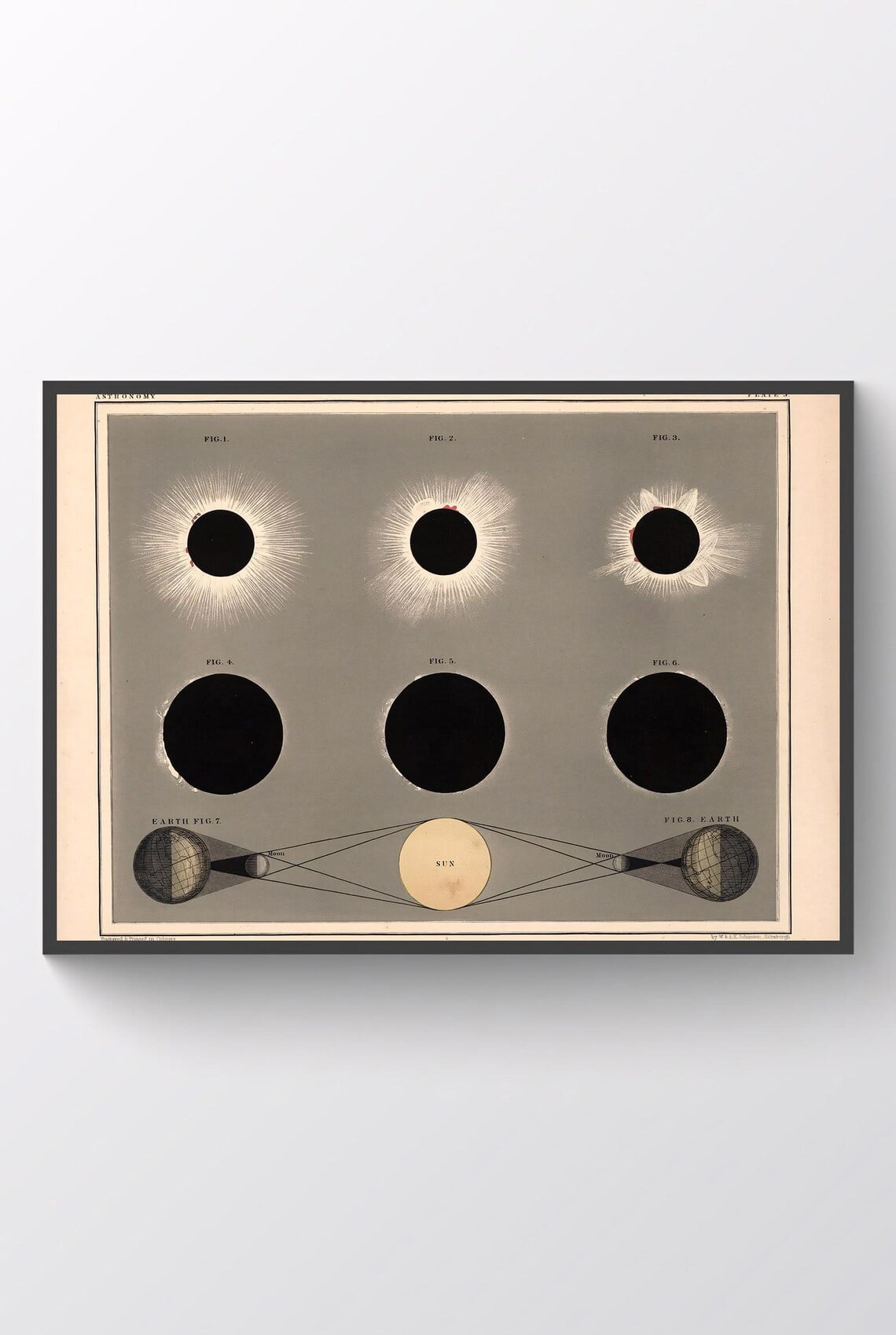 SEPT Solar Eclipse Educational: Detailed Astronomy Illustration, 8 ...