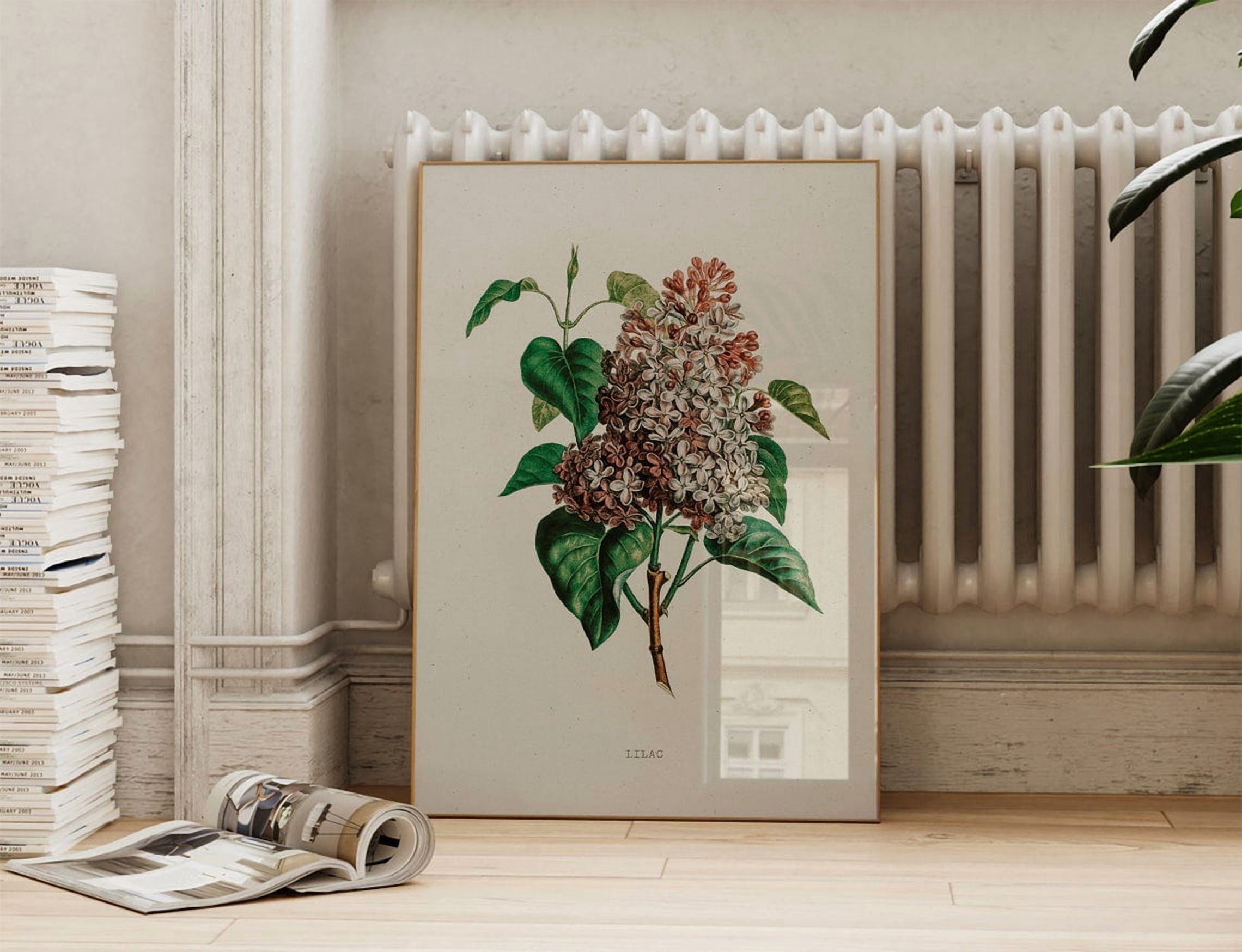 SEPT Vintage Botanical Lilac Print Floral Wall Decor Antique Flowers ...
