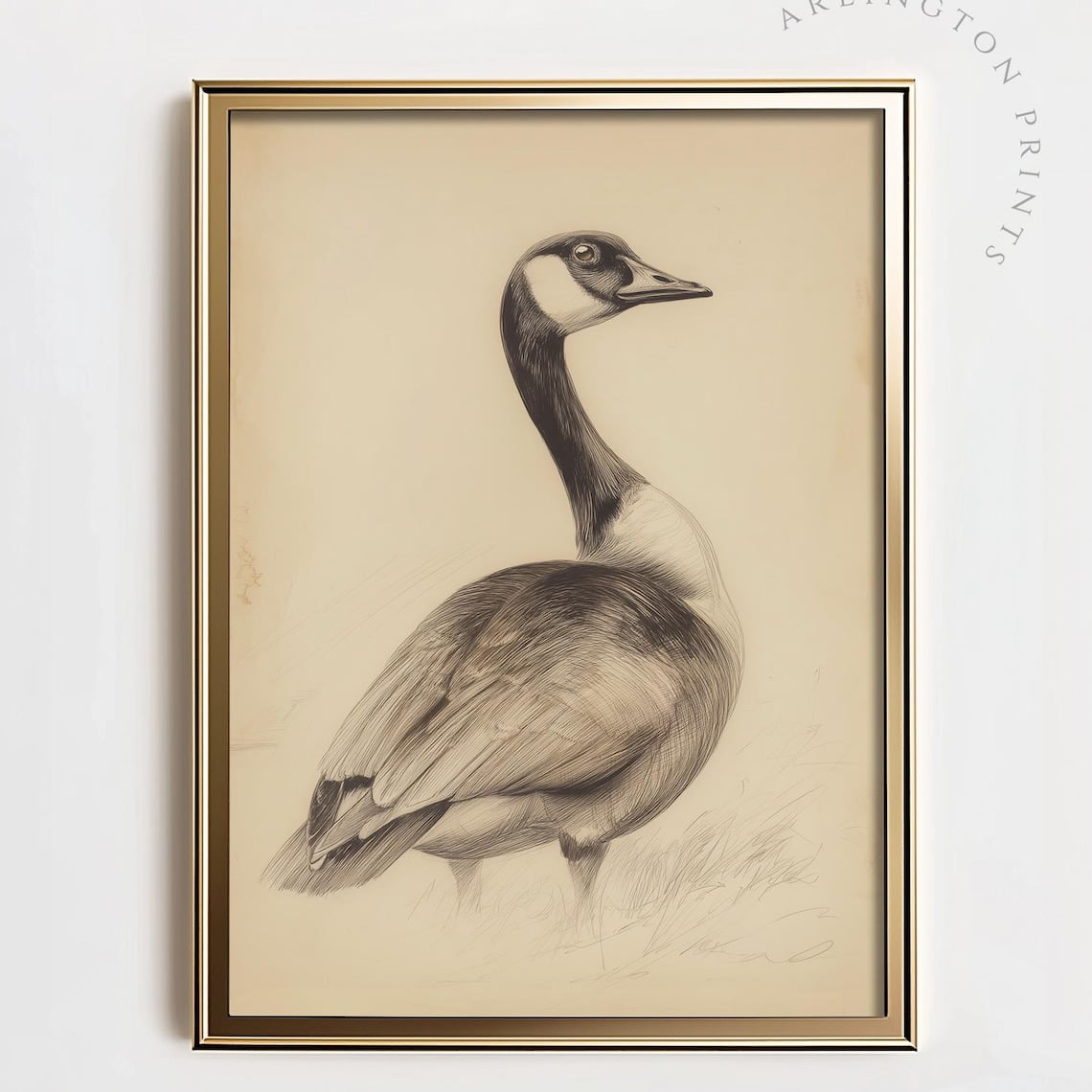 SEPT Vintage Canada Goose Art, Printable Rustic Bird Drawing, Vintage ...