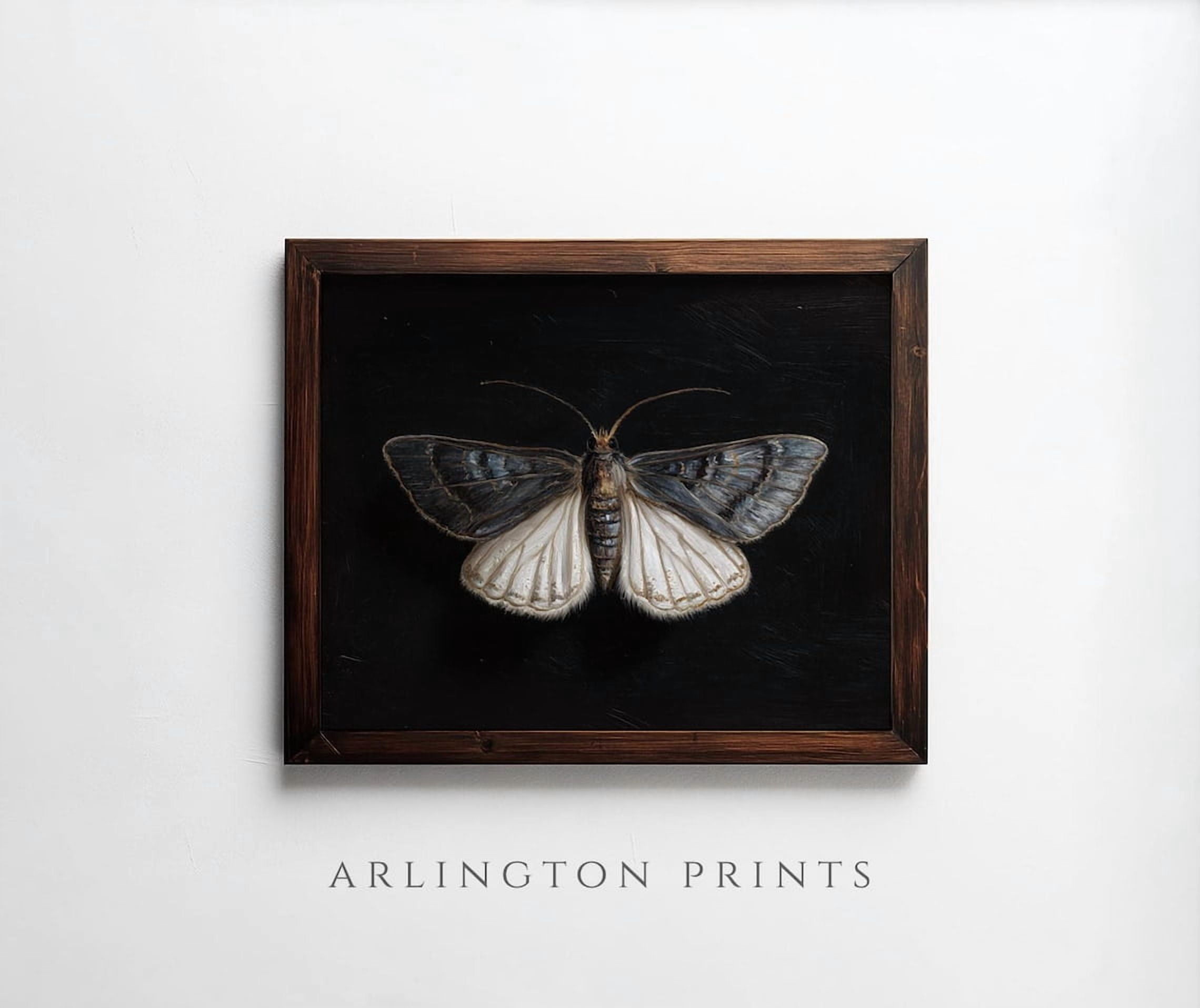 SEPT Vintage Moth Printable Art, Moody Insect Illustration On Dark ...