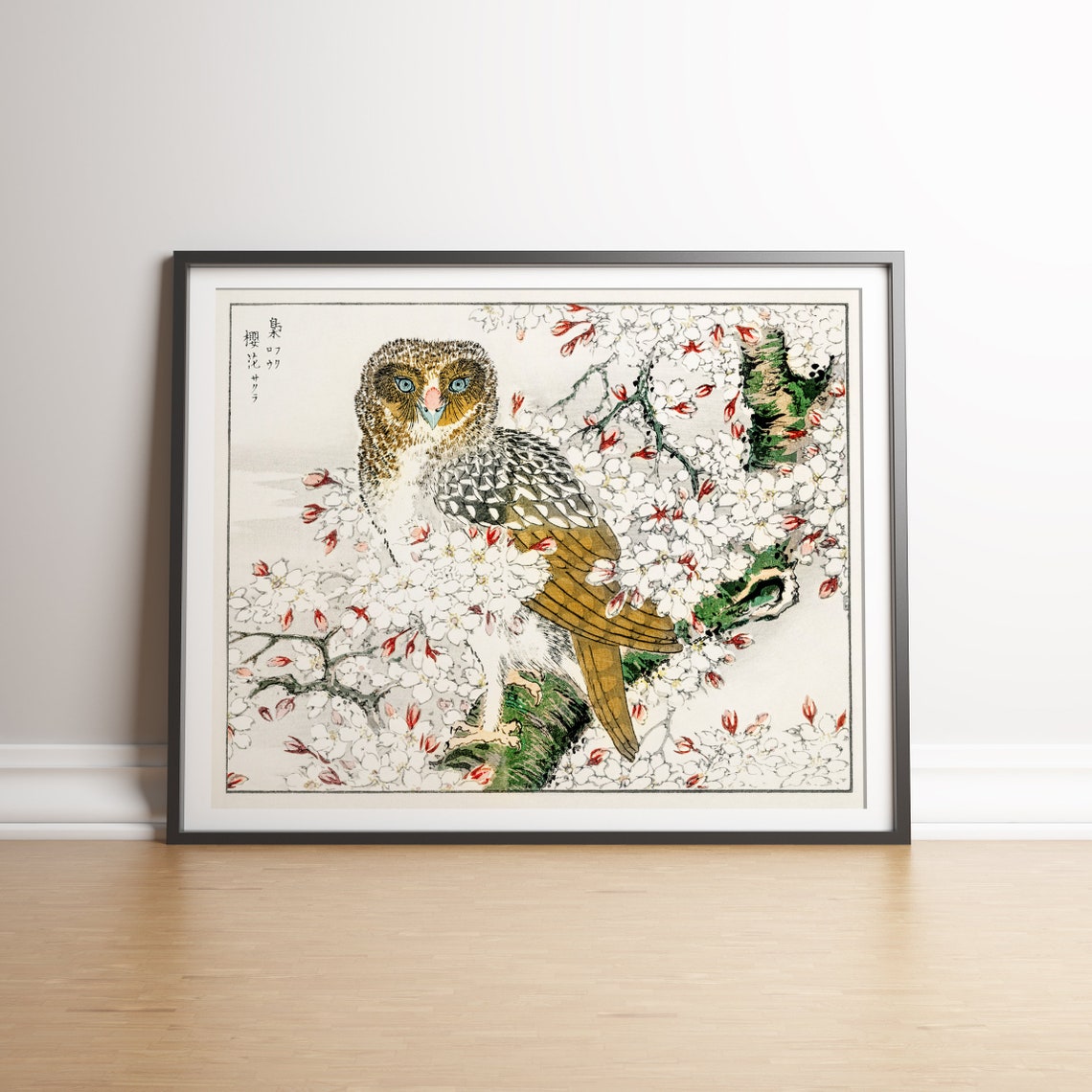 SEPT Vintage Owl Print, Japanese Print, Numata Kashu Poster, Short ...